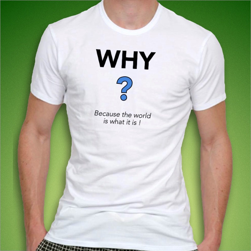 Ton Transfert - Phrases Diverses - T-Shirt WHY